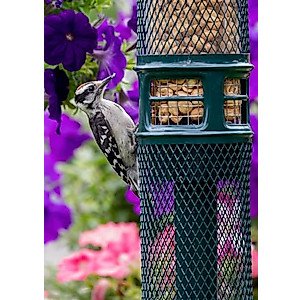 Squirrel Buster Nut Feeder Squirrel-Proof Bird Feeder for Nuts and Fruit, Two Meshes