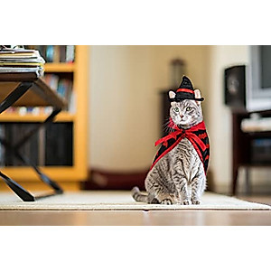 Heureppy Halloween Cat Costume Cloak Witch Hat Accessories Adjustable Bats Pet Clothes Set, Pat for Cats Dogs Animal Carnival Party Supplies
