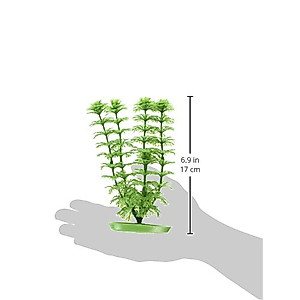 Marina Aquascaper Fish Tank Decorations, Ambulia Plant, 8-Inch