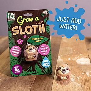 Boxer Gifts Water Growing Toys – Sloths Stocking Stuffers Kids & Adults-Fun Pass The Parcel Gifts & Bingo Items, Brown