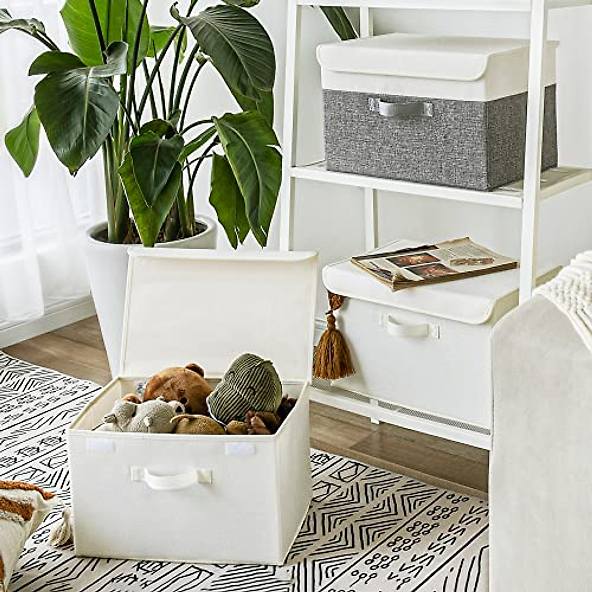 GRANNY SAYS Bundle of 2-Pack Storage Baskets with Lids Large & 1-Pack Hanging Closet Organizer