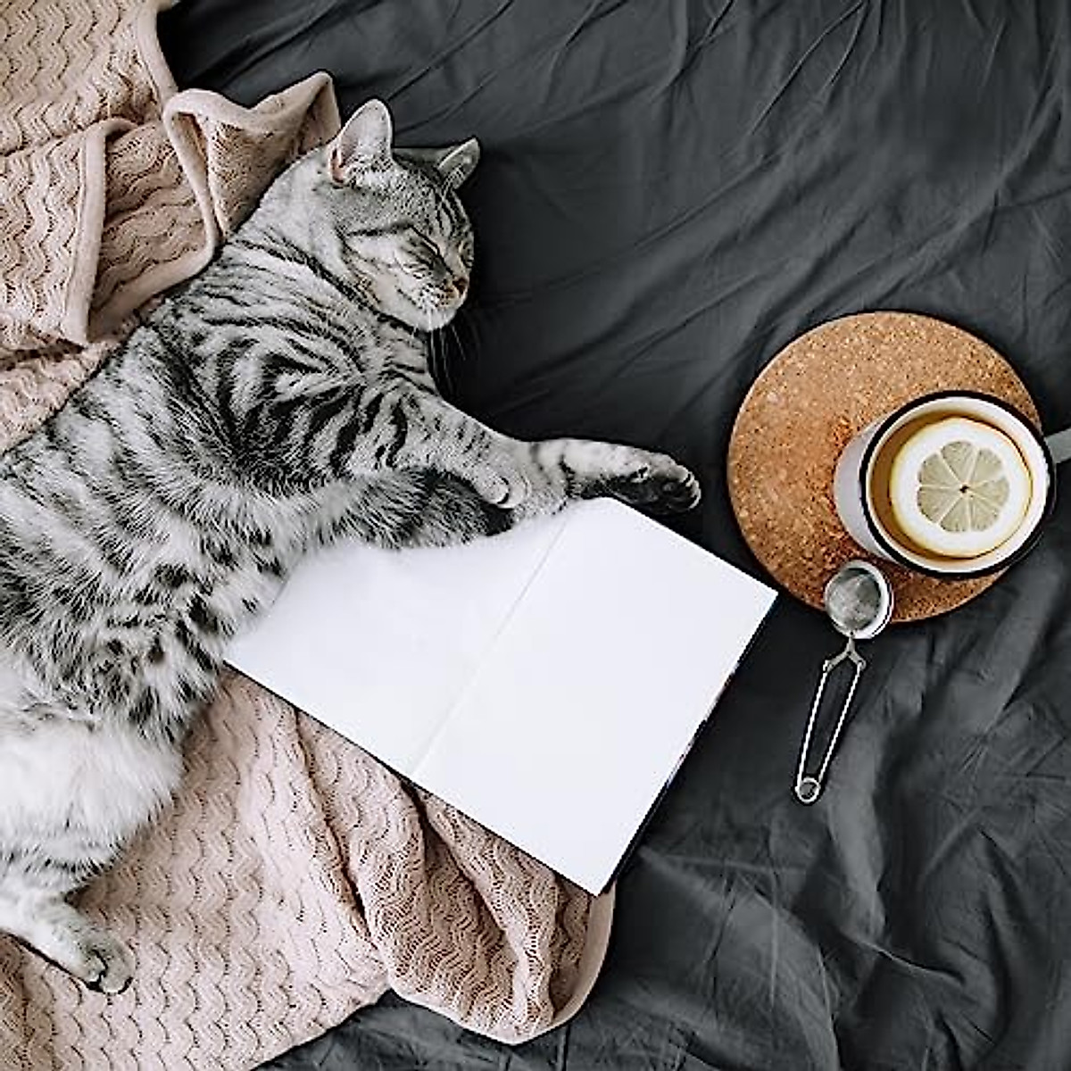 JOLLYVOGUE Bed Sheets Queen 4 Pieces, Dark Grey Sheet Set for Bedroom with Deep Pocket, Cooling Bed Sheets with 1 Flat Sheet, 1 Fitted Sheet & 2 Pillowcases