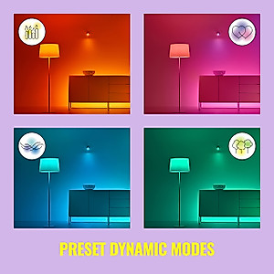 WiZ Smart Plug - Pack of 2 - Type B - Connects to Your Existing 2.4Ghz Wi-Fi - Control with Wiz Connected App - Works with Google Home, Alexa and Siri Shortcuts - No Hub Required