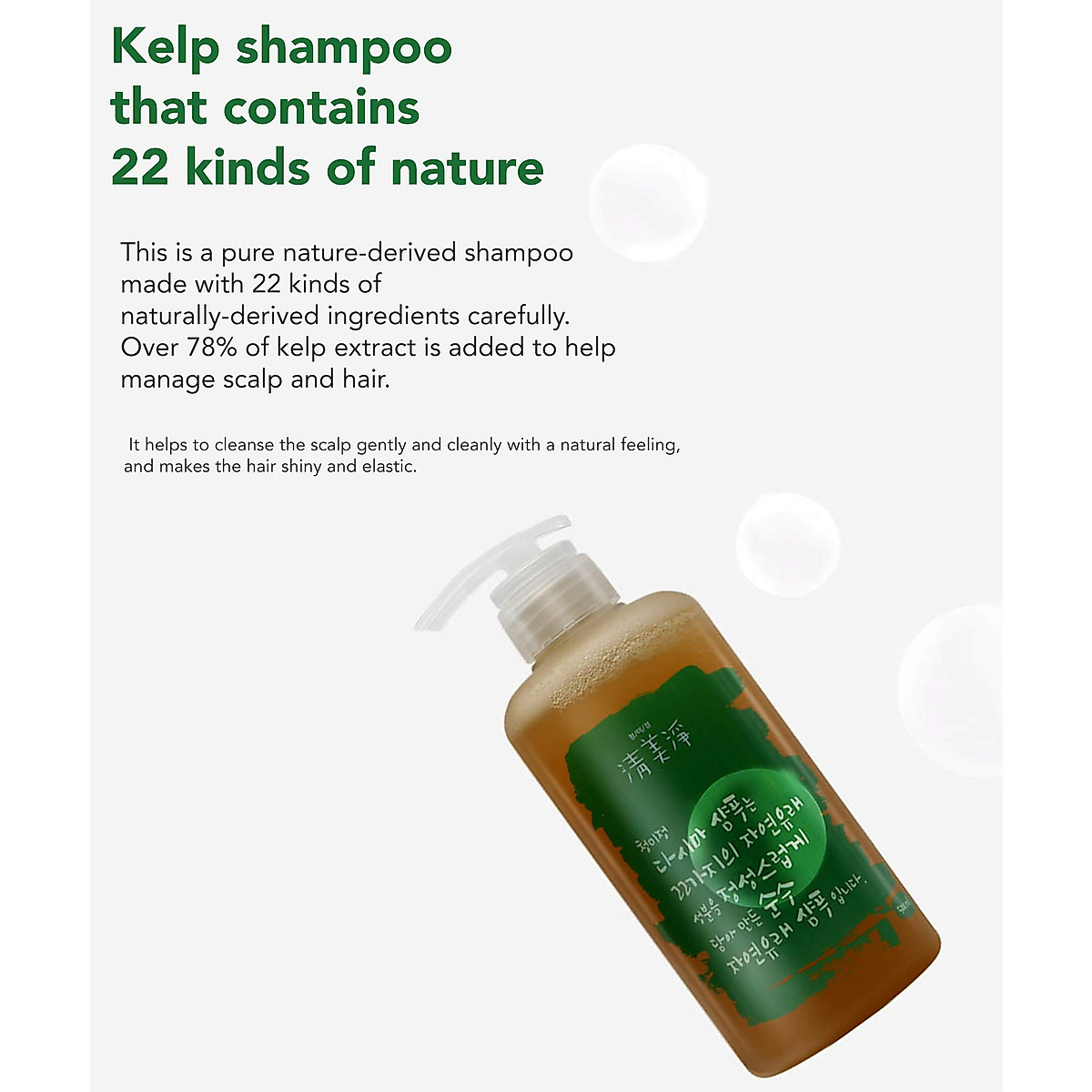 [ChungMiJung] Kelp Small Scalp Shampoo Dandruff Shampoo 500ml-organic 18 Ingredients from Nature for Sensitive Skin Korean Skincare,16.91 Fl oz (Pack of 1)