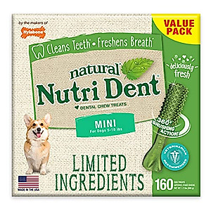 Nylabone Nutri Dent Dog Dental Treats - Natural Dog Teeth Cleaning & Breath Freshener - Dental Treats for Dogs - Fresh Breath Flavor, Mini (160 Count)