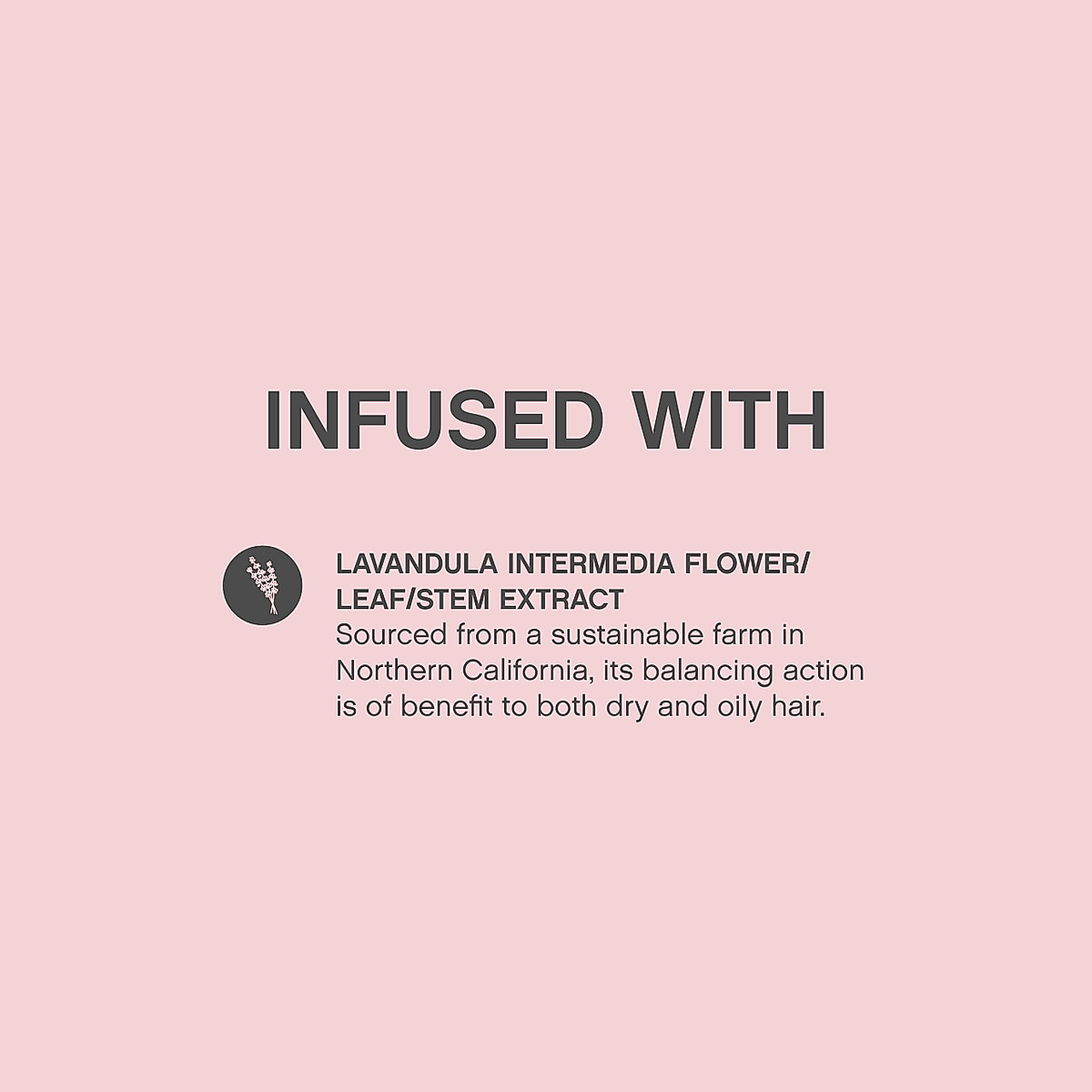 KEVIN.MURPHY ANTI.GRAVITY - Volumising & Texturising Lotion - For All Hair Types - Hair Volume & Shine - Hair Texture & Shine - Less Flyaways - Sulphate & Paraben Free Hair Care - 150 mL / 5.1 fl oz