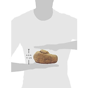 Exo Terra Reptile Den, Hideout Tunnel System for Terrariums, Medium, PT2862