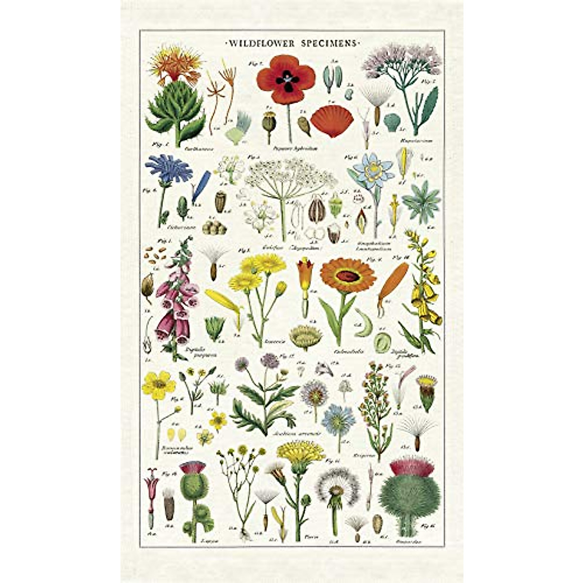 Cavallini & Co. Wildflowers Tea Towel, Multicolor