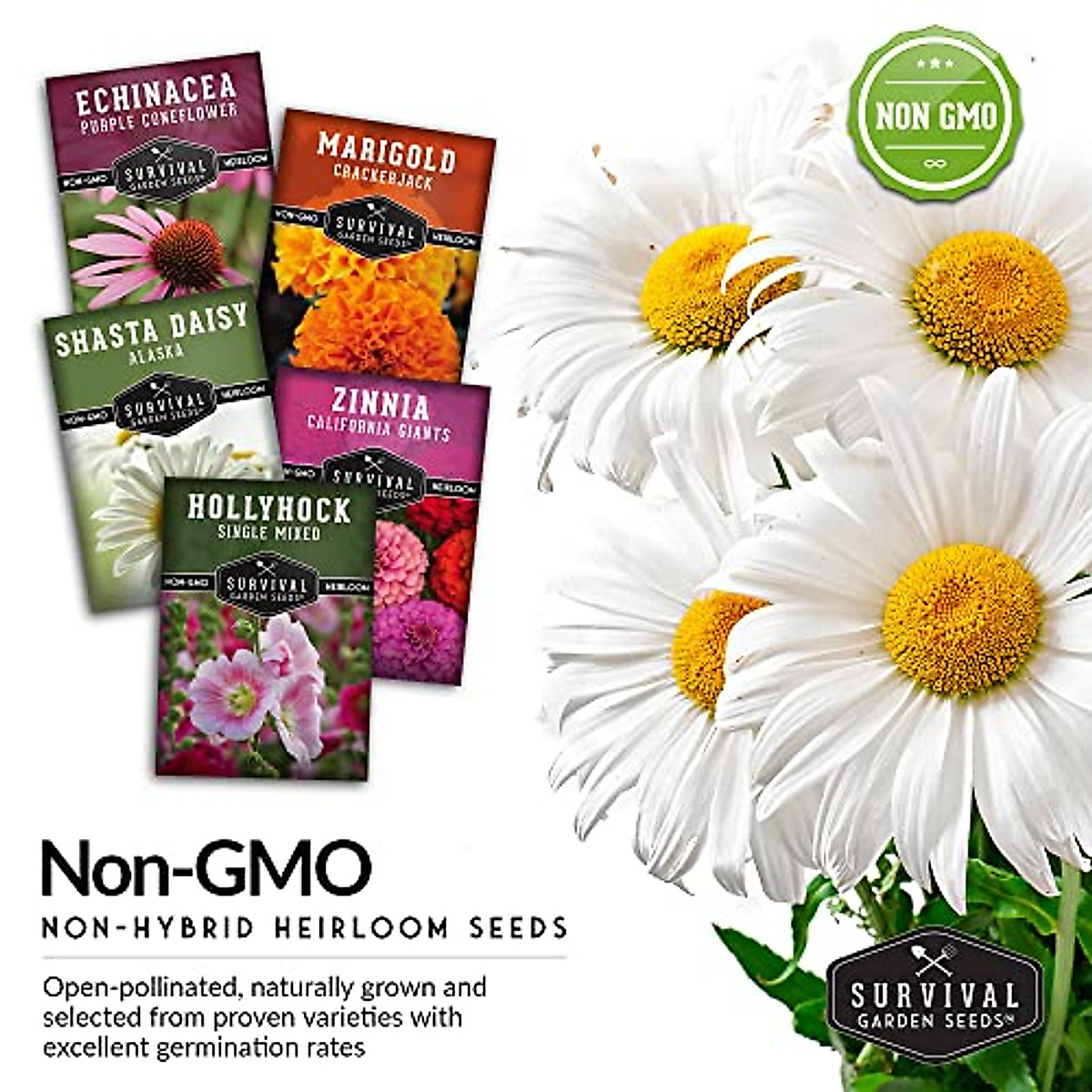 Survival Garden Seeds Beautiful Flower Collection - Hollyhock, Shasta Daisy, Purple Coneflower (Echinacea), Crackerjack Marigold, California Giant Zinnia - Non-GMO Heirloom Seeds