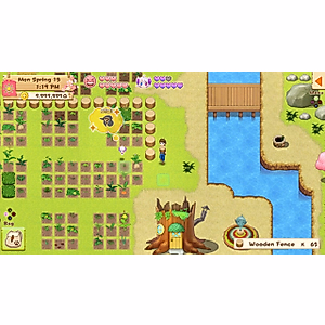 Harvest Moon: Light of Hope Special Edition - PlayStation 4