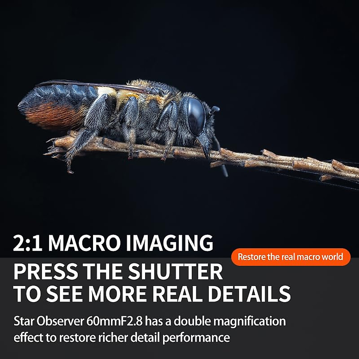 Brightin Star 60mm F2.8 2X Macro Magnification Manual Focus Mirrorless Camera Lens, Fit for Panasonic LUMIX Olympus Micro4/3 G7, G85, GX9, G7KS, EPM1/2, EM1, E-P1/P2/P3/P5, PL 1/2/3/5/6, G2/3/5/6