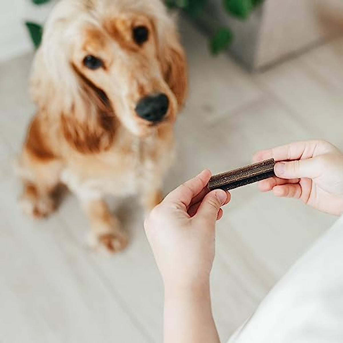 Zesty Paws OraStix for Dogs - Hip & Joint Mobility Sticks with Hemp Seed Curcumin Eggshell Membrane Taurine Support for HIPS Joints Cartilage Health Proprietary Healthy Teeth Gum Blend 25oz