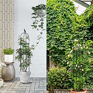 CKE NEW 2 Pack Garden Obelisk Trellis for Climbing Plants Outdoor, 6 FT Tall Rustproof Metal Plant Trellis Support Tower Obelisk Garden Trellis for Potted Climbing Flower Vegetable Vine Indoor Outdoor