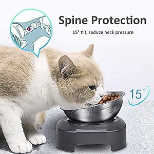 AYADA Raised Cat Food Bowl, Stainless Steel Cat Dish for Food Water Anti Vomiting Elevated with Stand Ergonomic Lifted Slanted Tilted 15 Angle Metal Single Kitty Kitten Wet Food Bowl Pet Bowl (Single)