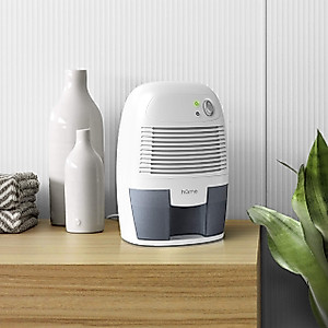 hOmeLabs Small Space Dehumidifier with Auto Shut Off - Compact and Portable