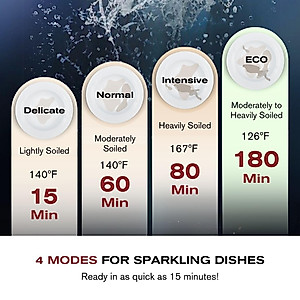 FOTILE SD2F-P5 3-in-1 In-Sink Dishwasher & Kitchen Sink Combo with 360° Cleaning, Produce Wash, Child Lock, Energy Efficient for Space-Saving Hygienic Kitchen Solutions (Dishwasher on the Right)