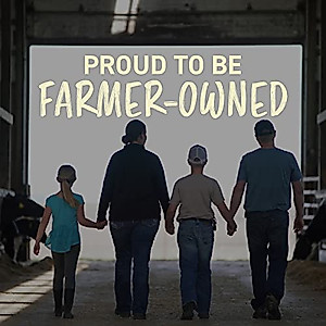 Land O Lakes Butter with Olive Oil & Sea Salt, Spreadable, 13 oz tub