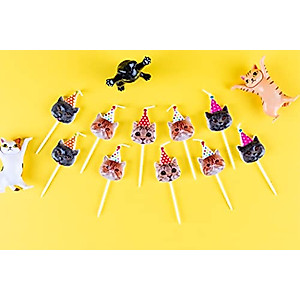 Merrymelting Merry Melting Birthday Candle for Cake Topper (cat Birthday Candle)