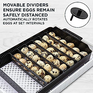 Jumbl Clear Egg Incubator, Fully Automatic Digital Poultry Hatching Machine, Temperature Control & Automatic Egg Turner, LED Candler, Mini 12-35 Egg Incubator Breeder for Chicken, Ducks & More