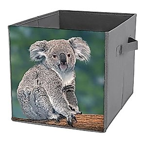 Cute Koala Bear Collapsible Storage Bins Basics Folding Fabric Storage Cubes Organizer Boxes with Handles
