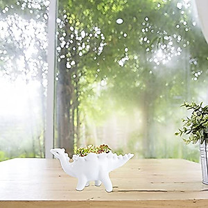 Happyyami Dinosaur Ceramic Flower Pot Ceramic Planter Succulent Planter Decorative Planter Indoor pots for Plants planters for Indoor Plants Succulents Cartoon Plant Pot Cactus Planter Juicy