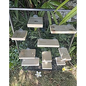10 Piece Kiln Dried Pine Wood Ledges, Platfrom, Steps for Chinchillas, Rats, Birds and Caged Critters. Chinchilla Cage Accessories.