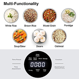 RUNHU Rice Cooker, 4 Cups Uncooked Mini Rice Cooker, 2L(2.1 QT) Protable Rice Cooker for 1-4 people, 120V Rice Maker with 24 Hours Timer Delay&Keep Warm Function for Soups,Stews,Grains,Oatmeal (White)
