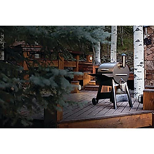 Traeger Grills Pro Series 22 Electric Wood Pellet Grill and Smoker, Bronze, Extra large