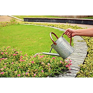 Metal Watering Can, One Gallon Watering Cans Stainless Steel Handle for Outdoor Indoor Garden Plants Watering (1 Gallon Silvers)