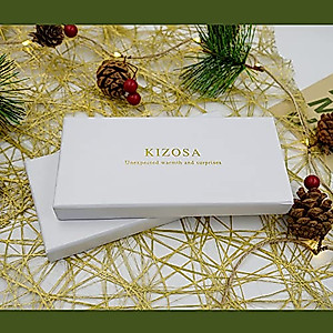 KIZOSA Two Beautiful Metal Butterfly Bookmark Bundle