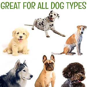 Petazy Dog Wipes for Paws and Butt Ears Eyes | Organic Pet Wipes for Dogs | Hypoallergenic Lavender Scented Dog Wipes Cleaning Deodorizing | Extra Thick Plant Based Wipes Dogs Cats Pets | 100 Count