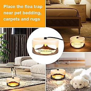 Flea Traps for Inside Your Home 2 Packs, Flea Light Trap for Indoor, Bed Bug Killer with Sticky Pads & Light Bulb Replacement, Natural Flea Insect Infestation Treatment Trap