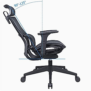 RILOOP Office Chair Chair Ergonomic, Computer Chair Adjustable Seat Height with Back Support and Arms, Desk Chair Comfy, Study Chair for Home, Office and Executive