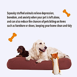 LTOHIRO Dog Toys/Unique Dog Toys/Squeaky Dog Toys/Dog Stuffed Animal Toy/Soft and Durable，Suitable for Small, Medium and Large Dog Plush Toys (Squirrel)