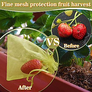 Sukh 50PCS Fruit Protection Bags - 6"x8" Fruit Cover for Fruit Tree Netting Fruit Nets to Protect Fruit Mesh Fruit Bags Organza Bags Green Net Bags for Fruits & Vegetables Reusable