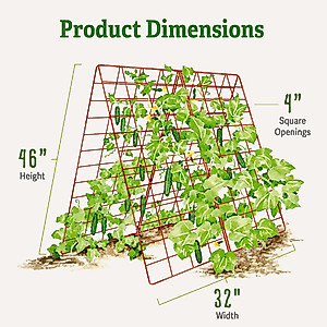 Gardener' s Supply Company Deluxe Cucumber Trellis | Outdoor A-Frame Trellis Plant Support for Vining Vegetables with 4" Grids for Easy Harvesting | 32" W x 46" H - Green