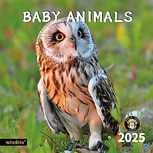 2025 Wall Calendar,Calendar 2025, January 2025 - December 2025, Wall Calendar Baby Animals, 12" x 24" Opened,Full Page Months Thick & Sturdy Paper for Calendar Organizing & Planning