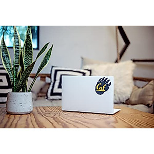 Nudge Nudge Printing University of California Berkeley Sticker Golden Bears Paw and Cal Footprint Logo Car Decal Heavy-Duty Officially Licensed NCAA Vinyl for Bumpers, Window, Laptops, or Coolers