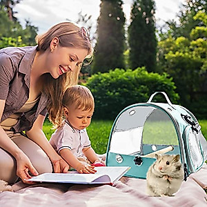 Bird Travel Carrier with Standing Perch,Lightweight Breathable Parrot Outgoing Bags, Small Pet Carrier Bag with Shoulder Strap,Bird Rat Guinea Pig Squirrel Carrier