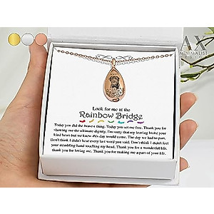 AX Minimalist Personalized Teardrop Urn Necklace For Dog Ashes, Rainbow Bridge Dog Necklace, Memorial Gifts, Rainbow Bridge Sympathy Gift (UNL-S23)