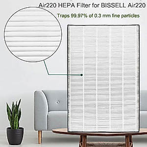 FFsign 2678 Replacement High Efficiency HEPA Filter + 2677 Actived Carbon Filter for Bissell Air220 Air320, 1 True HEPA Pre-Filter & 1 Carbon Filter