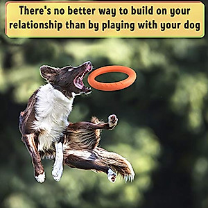 PetSpy Dog Training Ring for Outdoor Fitness Floatable Pulling Toy and Flying Disc Interactive Play Tool for Small Medium Large Dogs