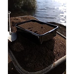 5-Pack Commercial Bus Tubs Box/Tote Box, Black Plastic Storage with Handles, Wash Basin Tub 8 Liter