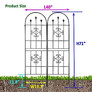 eLeGreen 2 Pack Metal Garden Trellis for Climbing Plants 19.7''x 71'' Rustproof Metal Rose Trellis Vines Peas Support Plant Stand Black