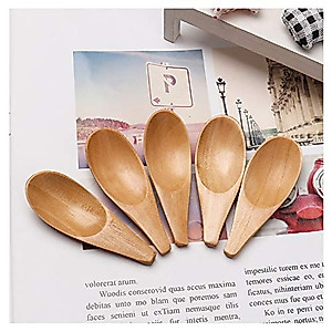 5 Pieces Mini Wooden Spoons, Small Salt Spoon with Short Handle Mini Wood Scoop for Spice Jars Tea Coffee Milk Powder, Natural Color