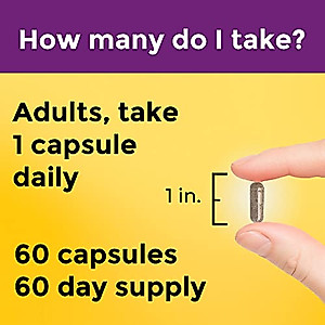 Nature Made Multi + Elderberry Capsules, Multivitamin for Daily Immune Support, One Per Day Multivitamin, 60 Count