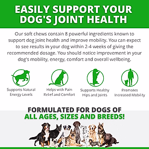 WOOFthful Dog Glucosamine Chondroitin for Dogs with Organic Turmeric and MSM - Premium Joint Supplement for Dogs - Supports Pain Relief, Mobility and Joint Function - Made in USA