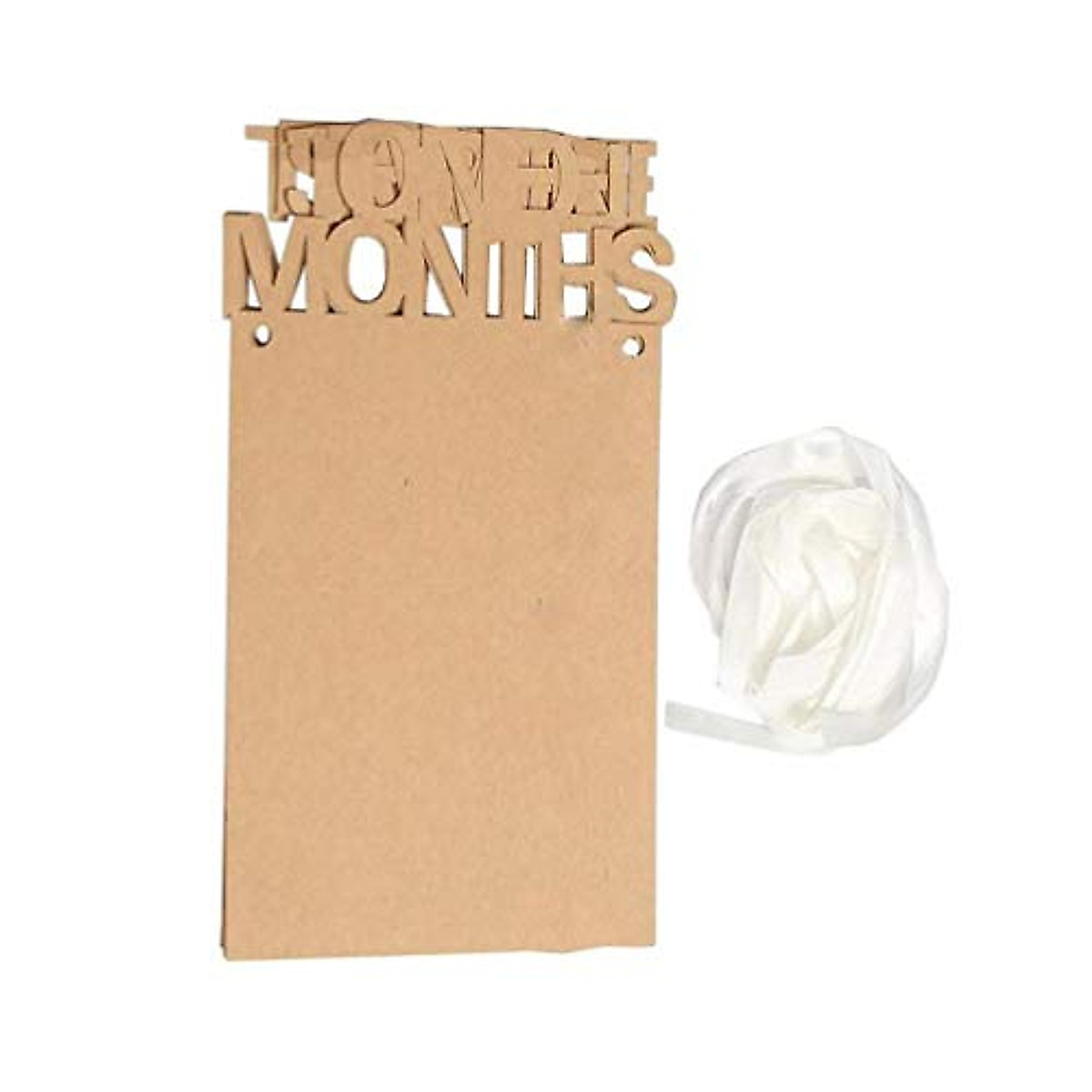 XUKEKOY 1st Birthday Baby Photo Banner Growth Record 1-12 Month Photo Prop First Birthday Party Bunting Decor