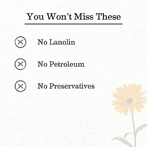 Earth Mama Vegan Nipple Butter | Cruelty-Free Breastfeeding Cream for Nursing Mamas | Lanolin-free 2-Ounce