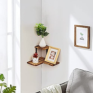 Coral Flower Corner Shelves for Home Office Decor, Bedroom, Livingroom, 12 inches, Carbonized Black